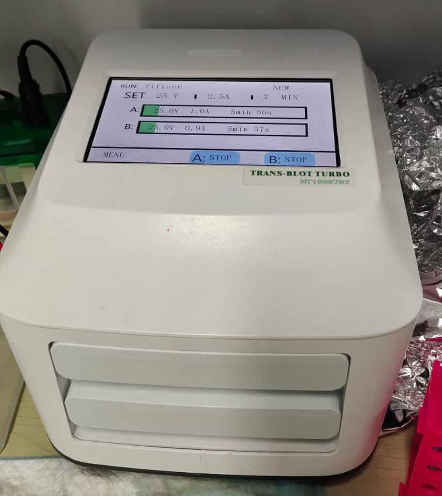 HT1000TBT Trans-Blot Turbo: Fast Protein Transfer