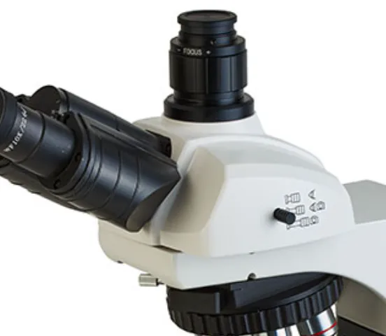 Understanding Microscope Viewing Heads: A Comprehensive Guide for ...